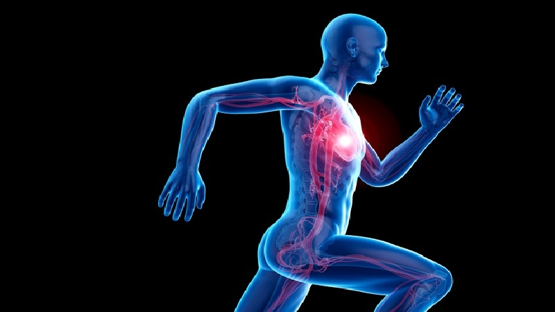 Haber sido deportista de élite: ¿factor protector del riesgo ...