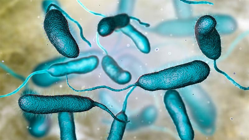 Lo que debe saber como médico de atención primaria sobre la vibriosis