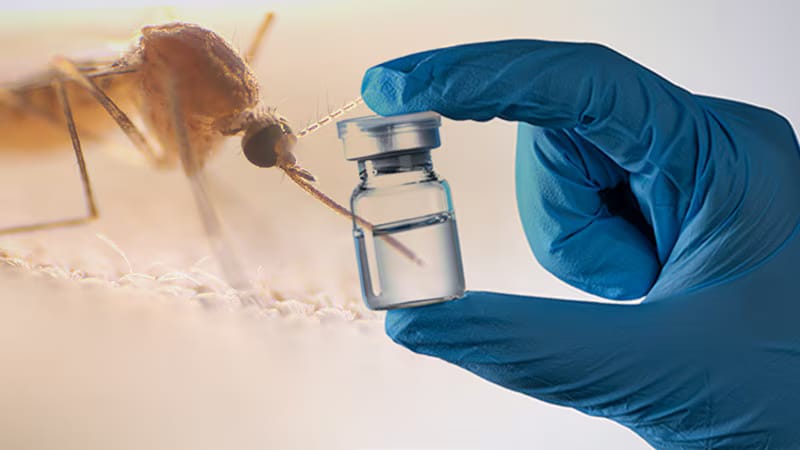 La epidemia de dengue en Brasil hace eco de una crisis mundial