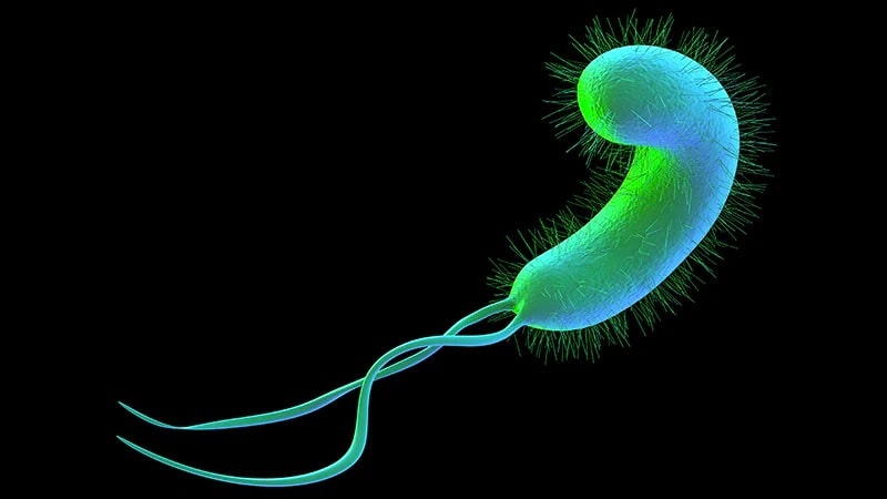 H. pylori: la guía del American College of Gastroenterology aconseja ...