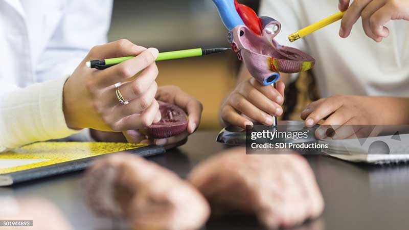 VARC-3 redefine el éxito temprano del reemplazo valvular aórtico ...