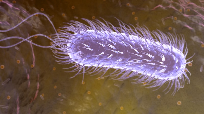 Mini-examen clínico: Tratamiento de la infección por «Helicobacter pylori»