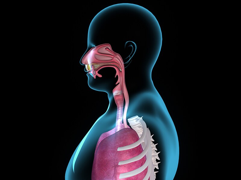 Régénération tissulaire complète d’un œsophage : une première