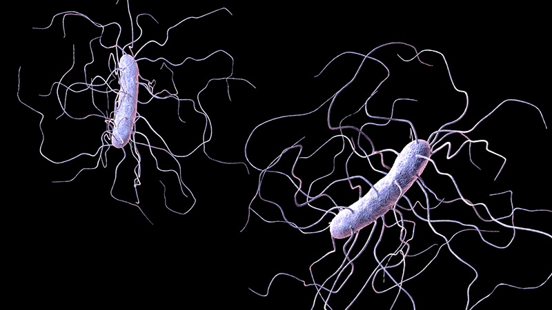 C difficile : inquiétudes face à de nouvelles souches résistantes à la ...