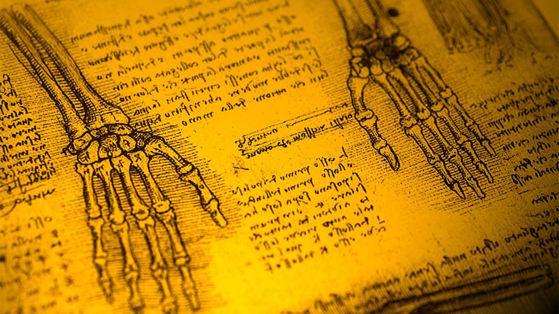 Léonard de Vinci, anatomiste visionnaire et pionnier de l’imagerie médicale