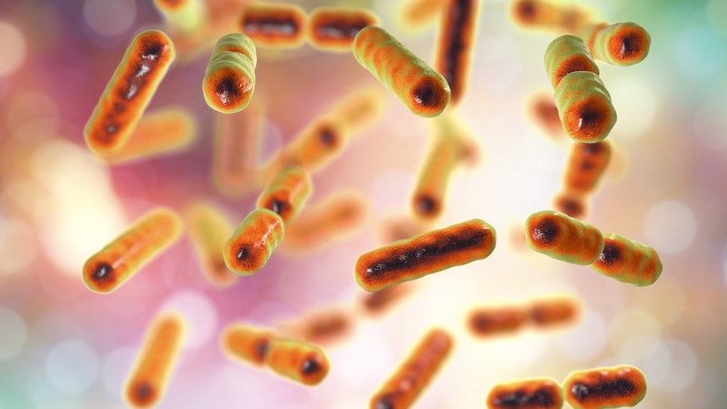 BAfa, une souche probiotique prometteuse contre le diabète de type 2