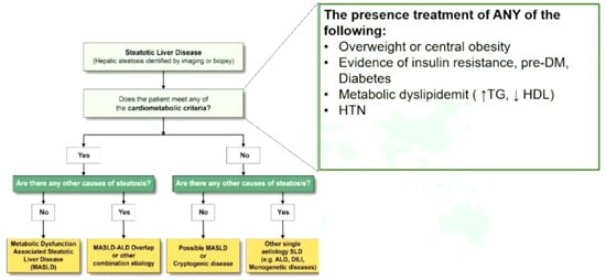Stéatose hépatique : comprendre la nouvelle nomenclature