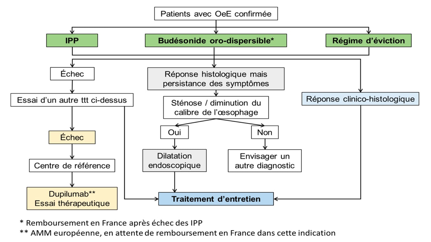 Les points clés des 1ères recommandations françaises sur l’œsophagite à ...