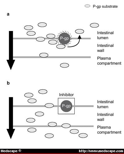 Focus on H1-Receptor Antagonists - Page 2