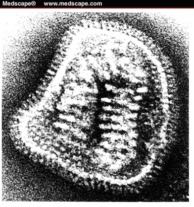 Flu in the News: What Your Patients Are Reading - Page 3
