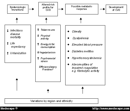 The Global Burden of Cardiovascular Disease