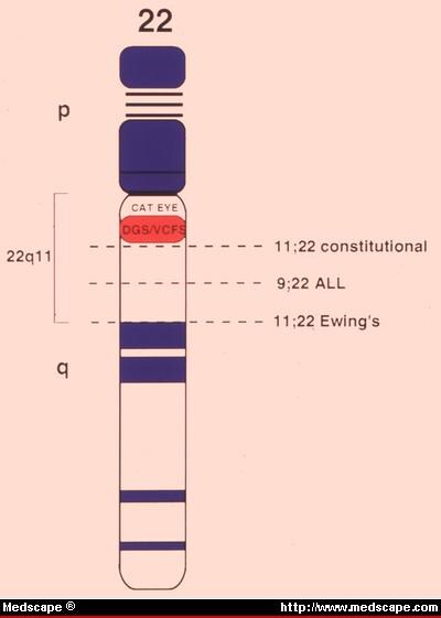 Chromosomal Abnormalities and Bipolar Affective Disorder - Page 4