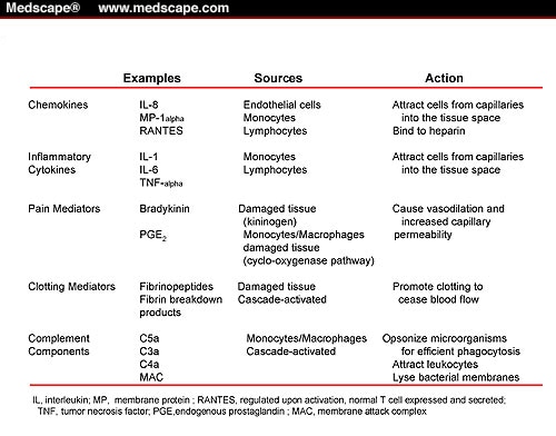 Immunologic Aspects of Organ Transplantation - Page 12