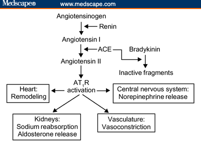 Pharmacogenetics and Cardiovascular Disease - Page 2
