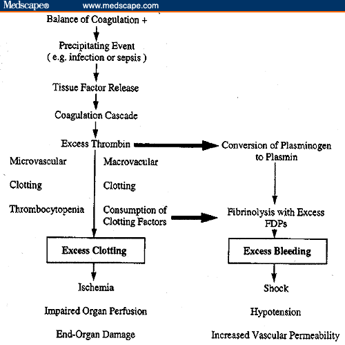 Disseminated Intravascular Coagulation in Cancer - Page 3