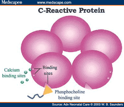 C-Reactive Protein in Infants With Suspected Sepsis - Page 3