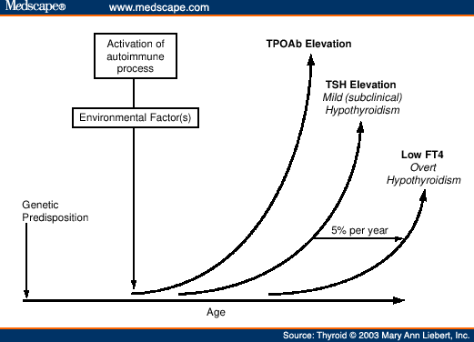 Thyroid Autoantibodies (TPOAb, TgAb and TRAb) - Page 5