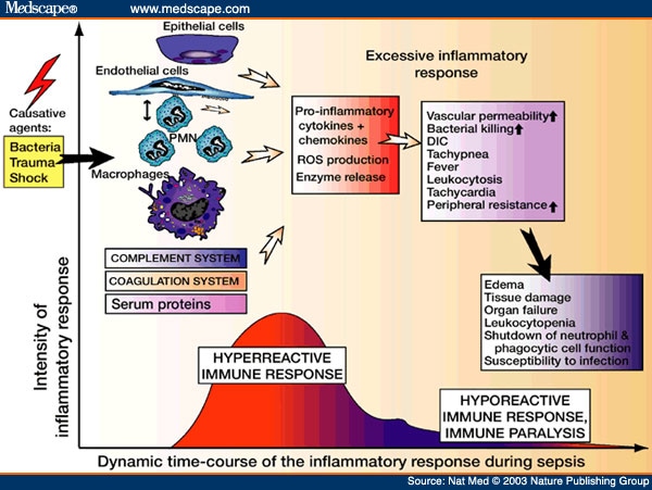 Novel Strategies for the Treatment of Sepsis
