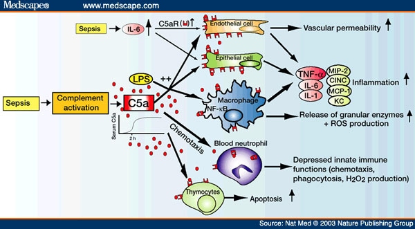 Novel Strategies for the Treatment of Sepsis - Page 4