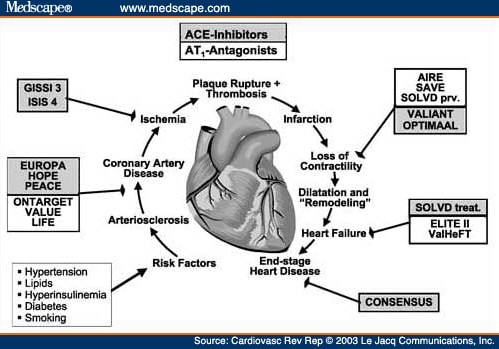 Inhibition of the Renin-Angiotensin System and Vascular - Page 4