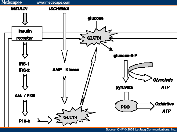 Diabetes Mellitus and Heart Failure - Page 2