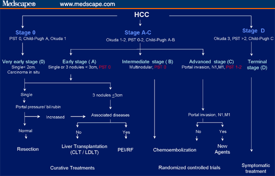 Hepatocellular Carcinoma: A Clinical Update - Page 4