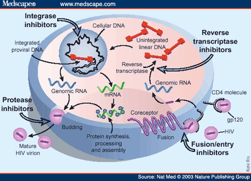 HIV and AIDS: 20 years of science - Page 6
