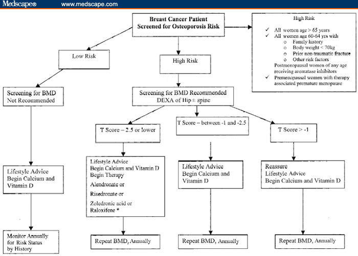 Bisphosphonates And Bone Health In Women With Breast Cancer