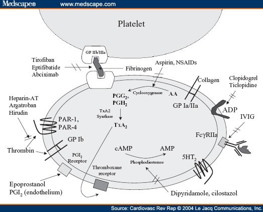 The Clinical Utility of Antiplatelet Drugs Revisited