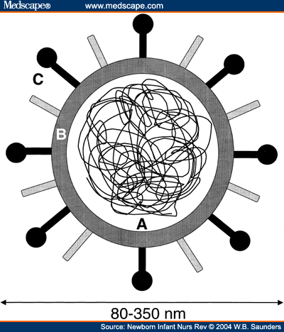 Respiratory Syncytial Virus (RSV) - Page 3
