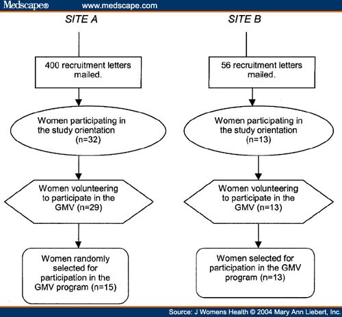 Group Medical Visits for Low-Income Women With Chronic Disease: - Page 3
