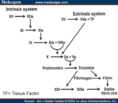 Ximelagatran: Light at the End of the Tunnel or the Next Tunnel?