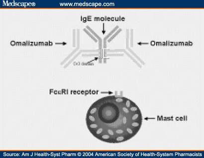 Omalizumab: A Recombinant Humanized Anti-IgE Antibody for Allerg - Page 2