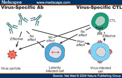 Correlates of Immune Protection in HIV-1 Infection - Page 4