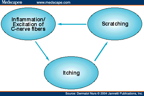 Practical Guidelines for the Relief of Itch - Page 2