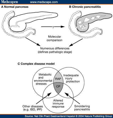 Understanding the Mechanisms Leading to Chronic Pancreatitis - Page 8