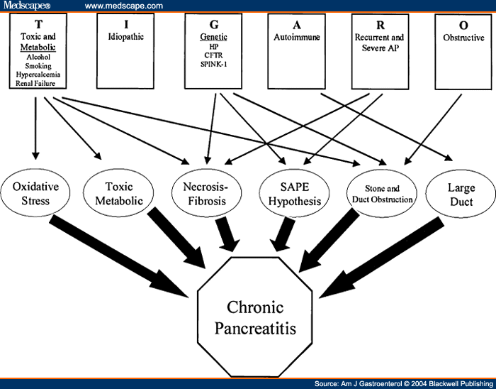 Pathogenesis of Chronic Pancreatitis: An Evidence-Based Review