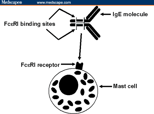 Omalizumab: A Monoclonal Anti-IgE Antibody - Page 2