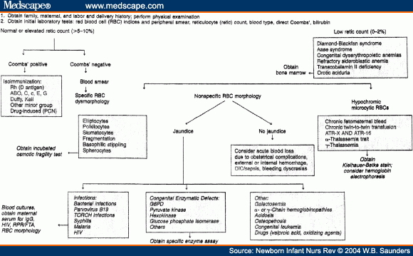 Red Blood Cell Indices: Implications for Practice - Page 6