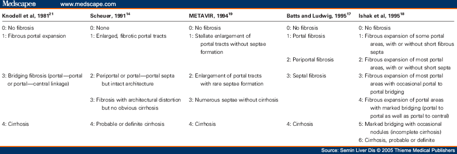 The Liver Biopsy in Chronic Hepatitis C - Page 3