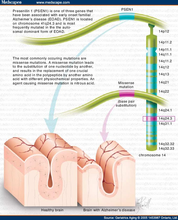 Genetics of Alzheimer's Disease - Page 2
