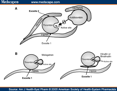 Ximelagatran: An Orally Active Direct Thrombin Inhibitor - Page 2