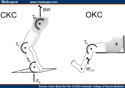 Open- or Closed-Kinetic Chain Exercises After ACL Reconstruction