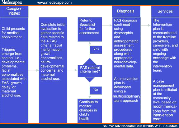 The Neurodevelopmental Consequences of Prenatal Alcohol Exposure - Page 5