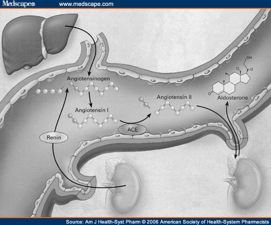 Aldosterone Antagonists in the Treatment of Heart Failure - Page 2