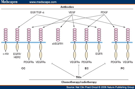 Phase III Clinical Trials on Anti-VEGF Therapy for Cancer - Page 2
