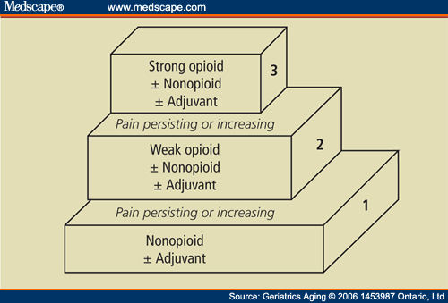 Treatment of Pain in the Older Adult - Page 3
