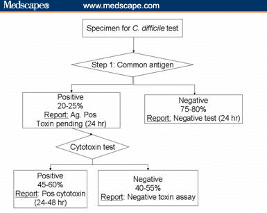 Bacterial Infections: June 2006
