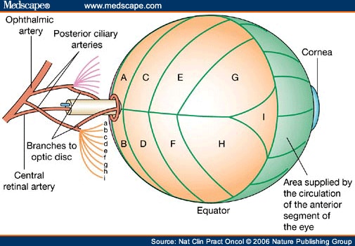 Recognition and Treatment of Retinal Manifestations of Systemic Vasculi