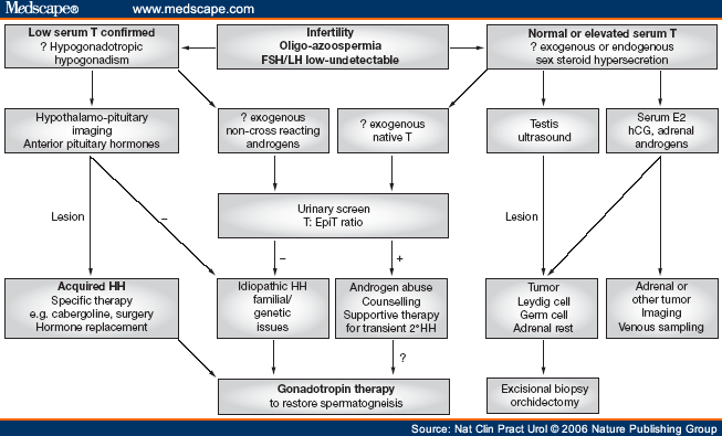 Reversible Causes of Secondary Infertility - Page 4